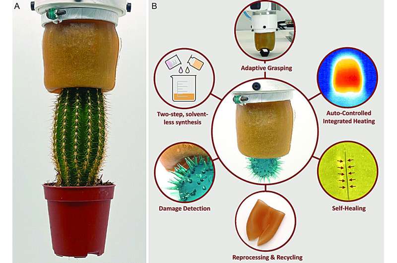 Self-healing robotic gripper could be the future of sustainable soft ...